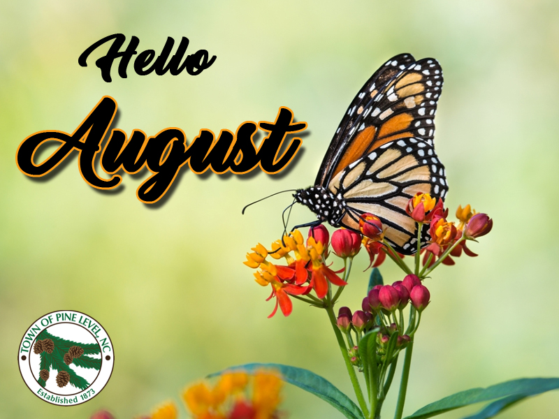 Home - Pine Level, NC