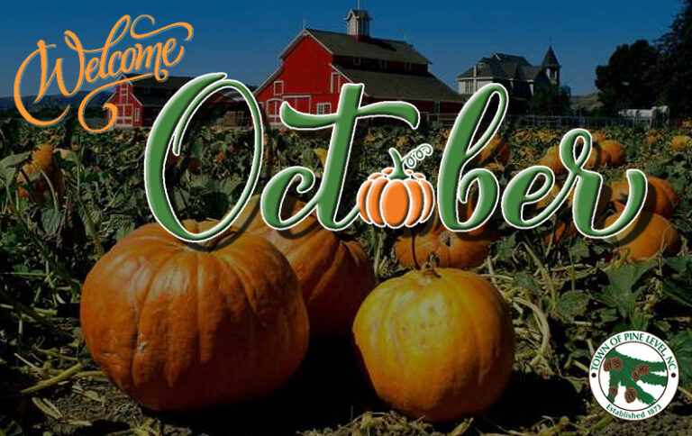 Home - Pine Level, NC